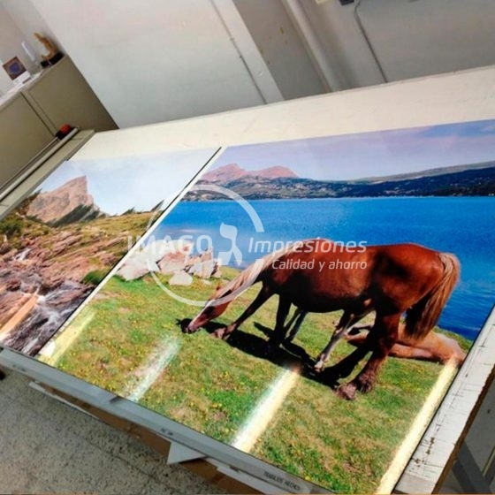 Impresión en Celtex Vinil Laminado Aplicado en Celtex PVC de 1mm ...